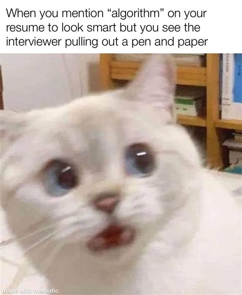 what the fuck is a vector programming r programmerhumor