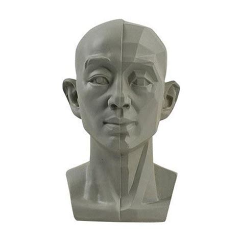 Blarkrus Planar Head Model For Artists Learn Planes Of Face Standard
