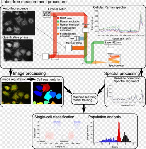 Measurement Cell Research Machine Learning Microscope Surface Enhanced