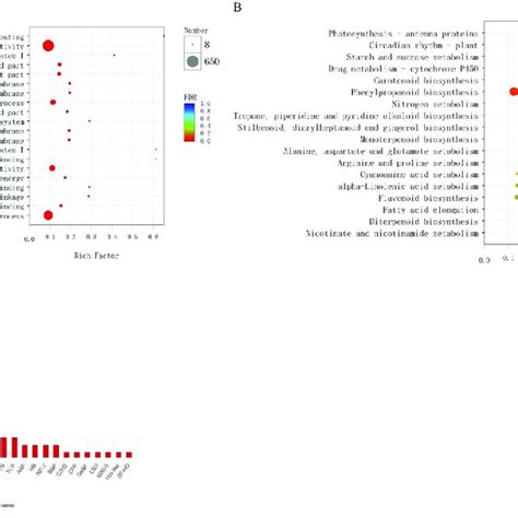 Annotation And Pathway Analyses Of The Identified Degs A Go