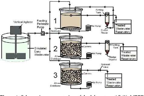 Figure 1 From A Comparison Of Biosolids Production And System