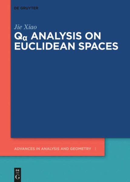 Q¿ Analysis On Euclidean Spaces Von Jie Xiao Fachbuch Bücherde