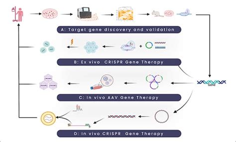 Gene Therapy A Revolution In Medicine