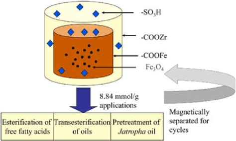 Mesoporous Magnetic Biomass Based Acidic Catalyst For The Biodiesel Download Scientific Diagram
