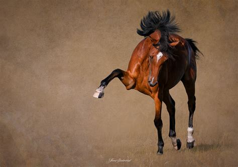 Dusty Pics Dusty Pics Added A New Photo — With Dougie