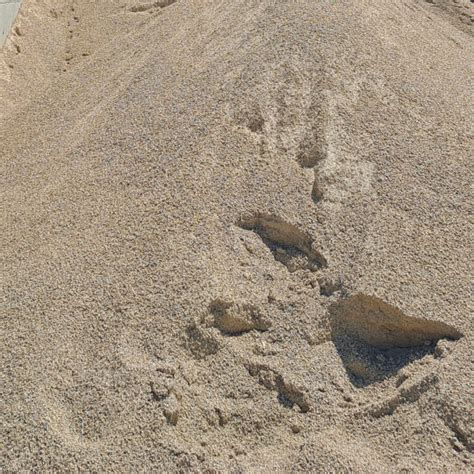 Sable 04 Concassé Calcaire Premium Livré En 48h Au Meilleur Prix