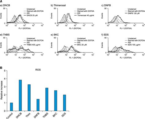 A Monocyte Derived Dendritic Cells Modcs Produce Reactive Oxygen