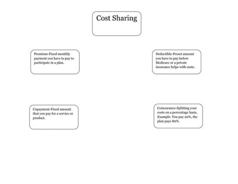 Cost Sharing Docx