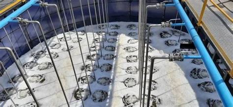 Aeration Diffusers 5m3h Retrievable Aeration System Manufacturer