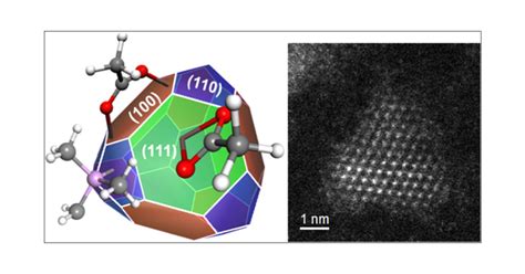 Theoretical Investigation Of Organic Ligands On The Surface Structure