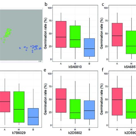 The Phenotypic Variation Of Five Kasp Markers Validated In The