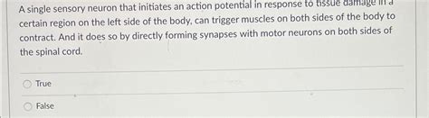 Solved A Single Sensory Neuron That Initiates An Action Chegg