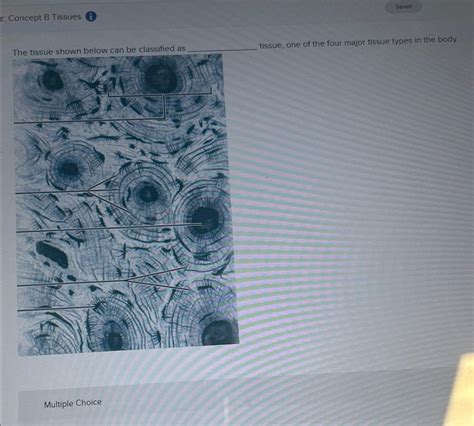 Solved Concept B TissuesThe Tissue Shown Below Can Be Chegg