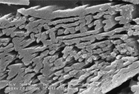 Sem Micrograph Of Specimen M 3 Showing The Specimen Surface After