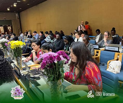 Cbd Womens Caucus On Linkedin Cbdwomenscaucus Genderequality