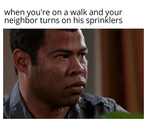 Im Wet R Memes