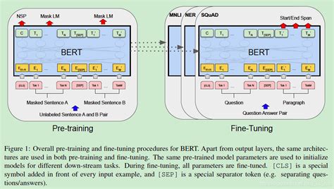 BERT 基于transformer的语言模型 阅读笔记_基于 transformer 的 bert 预言模型-CSDN博客