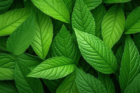 Premium Ai Image Arrow Shaped Green Leaf Texture Mockup For Natural And Organic Items Nature