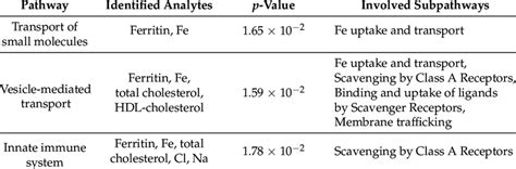 List Of The Main Significantpathways Identified By The Analysis On The