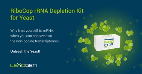 Lexogen Introduces Ribocop Rrna Depletion Kit For Yeast Rna Seq