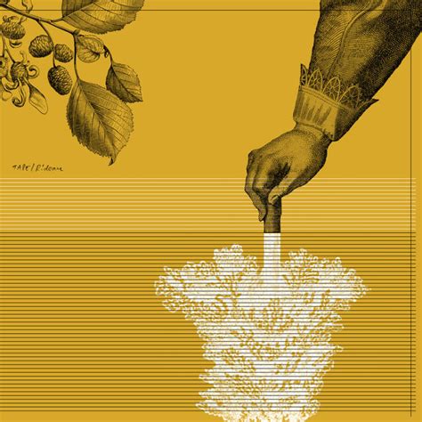 Tape Rideau 2022 Remaster Out Out