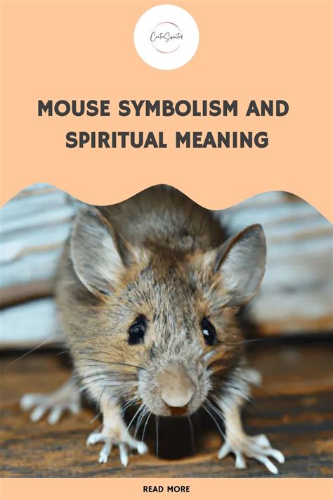 Best 12 Mouse Symbolism And Spiritual Meaning Artofit