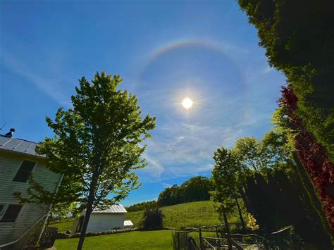 Elodea Leaf In Hypertonic Solution 400x R Microporn