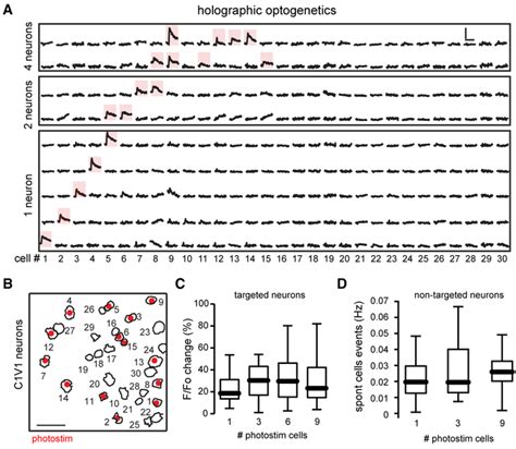 Controlling Visually Guided Behavior By Holographic Recalling Of