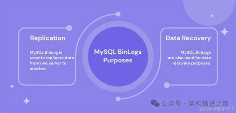 干货知识，掌握mysql核心日志：binlog 、redo Log、undo Log Csdn博客