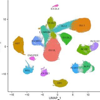 A Uniform Manifold Approximation And Projection UMAP Plot Depicting Download Scientific