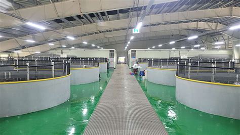 What Are Optical Water Quality Monitoring Sensors Water Quality Sensors