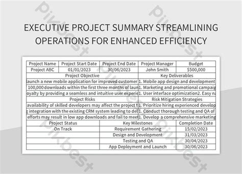 Improving Operational Efficiency Through Executive Project Summary Excel Template Free