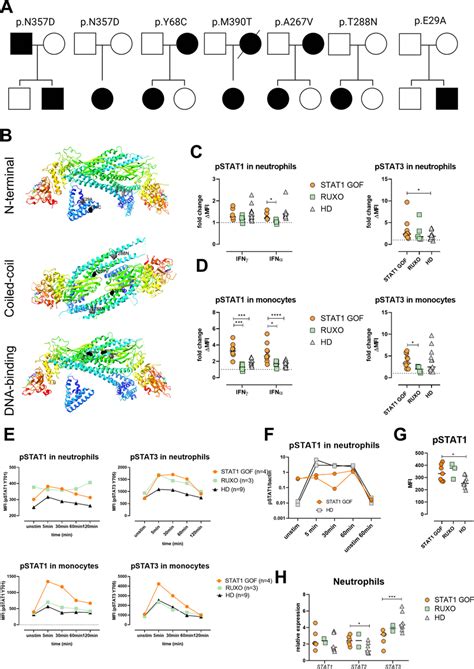 Patients And Stat1 Mutations A Pedigrees Of Stat1 Gof Mutations In