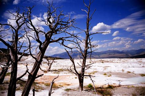 Paper Parse By Westwardcloud On Deviantart