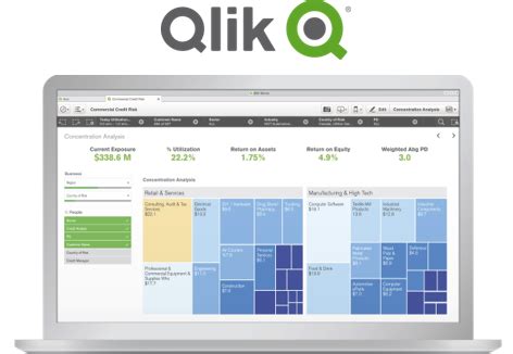 QlikView And Qlik Sense Software Solution