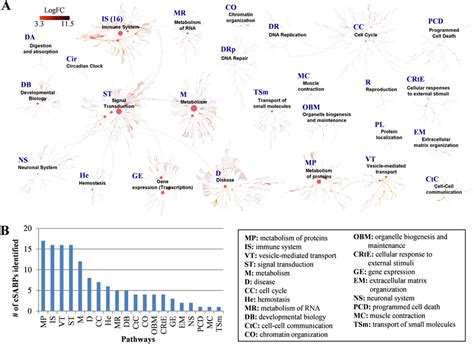 Pathway Enrichment Analysis Of 95 Csabps Using The Reactome Database