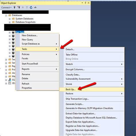 Delete Sql Server Database Transaction Log File Kdatascience