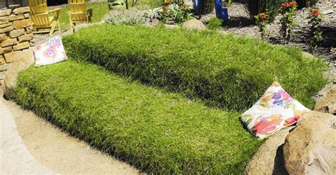 Grass Sofa Inhabitat Green Design Innovation Architecture Green