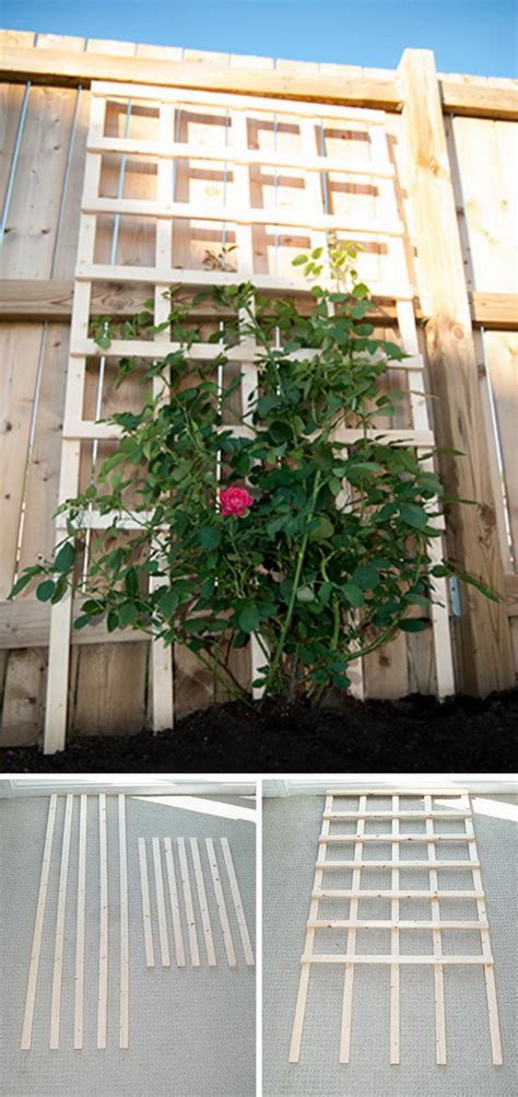 Garden Trellises Diy At Jason Quinn Blog