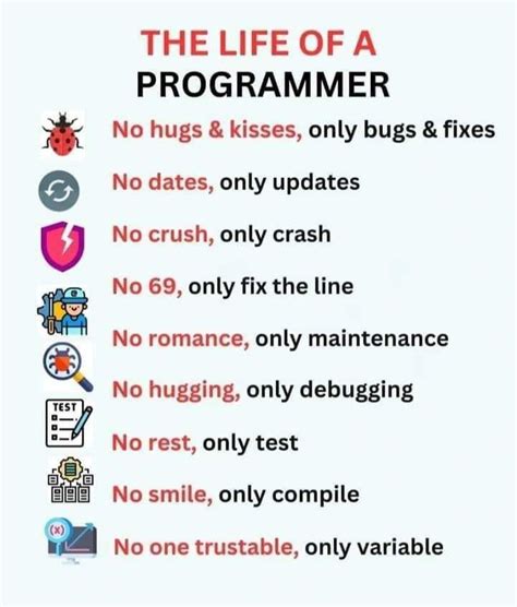 muhammad hamza hassan khan on linkedin programming programmer