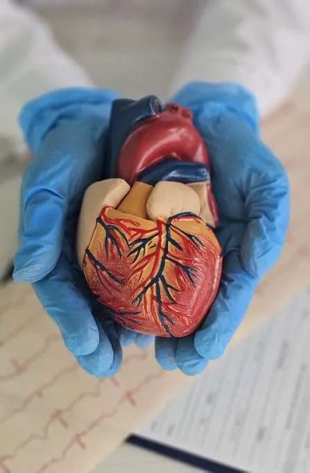 The Zio Patch Best Test For Heart Rhythm And Rate