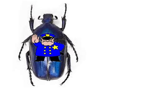 Youtube Speculative Evolution The Uttp Beetle Remake R Specevojerking