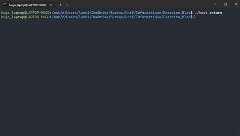 The Function Return C Do Not Appear When Running The Code In
