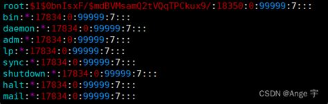 Linux系统配置核查 【等保测评】网络安全等级保护测评 S3a3 计算环境操作系统（linux）等保 S3a31应对审计进程进行保护