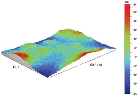 Three Dimensional White Light Interferometer Image Of Mouse Peritoneum