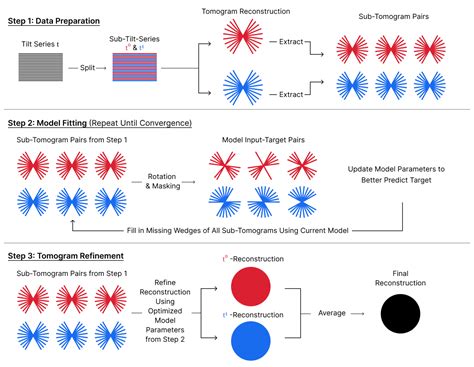 Cryoet Image Processing Challenges Cryoet Data Portal Documentation