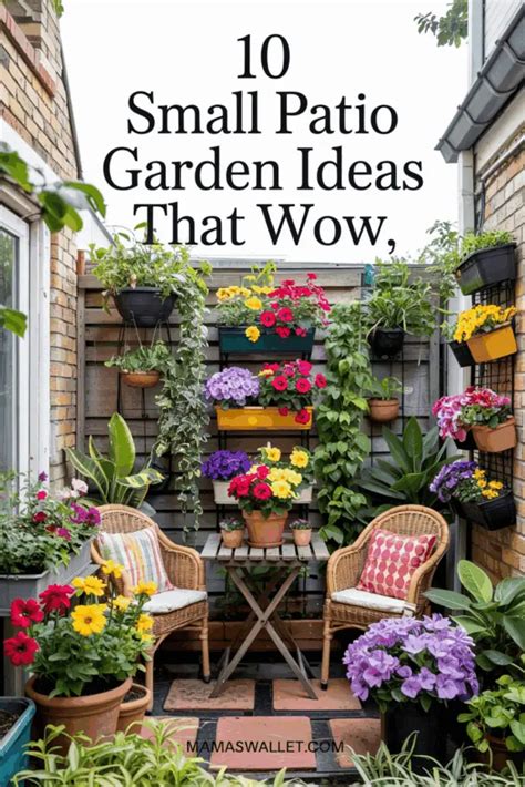 10 Stunning Plant Decorating Ideas For Your Small Patio Garden