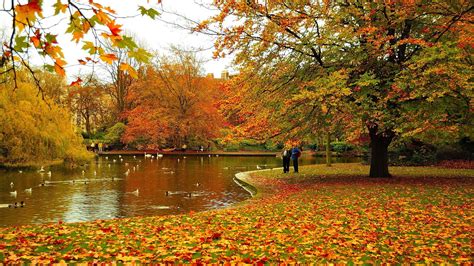 Autumn Of St Stephens Green Dublin Ireland