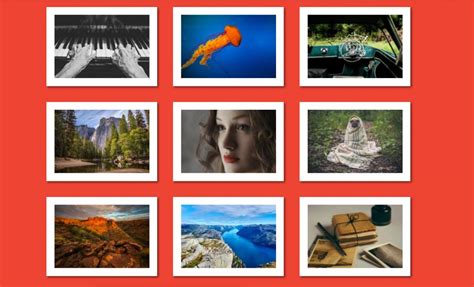 Image Overlay CSS Hover Effects OnAirCode