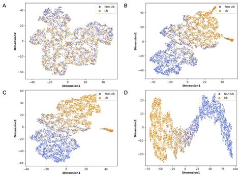 Multi Dimensional Feature Recognition Model Based On Capsule Network For Ubiquitination Site